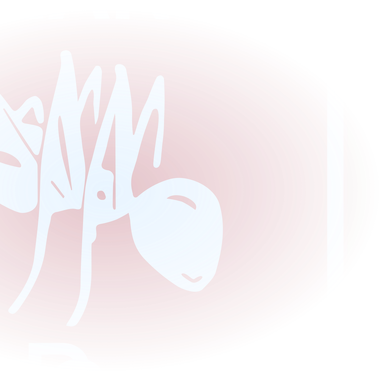 Official AFL Website of the Adelaide Crows Football Club