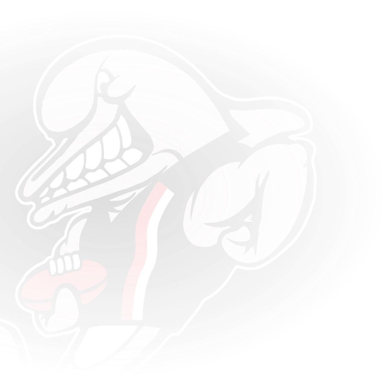 Official AFL Website of the Adelaide Crows Football Club