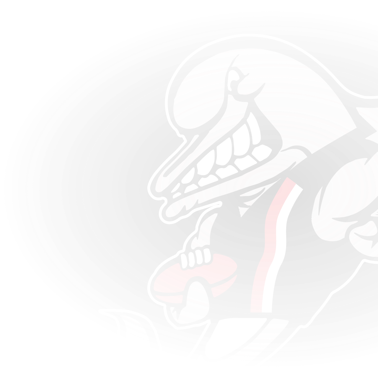 Official AFL Website of the Adelaide Crows Football Club