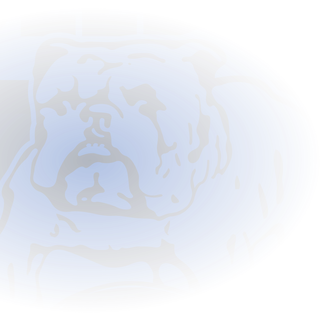 Official AFL Website of the Adelaide Crows Football Club