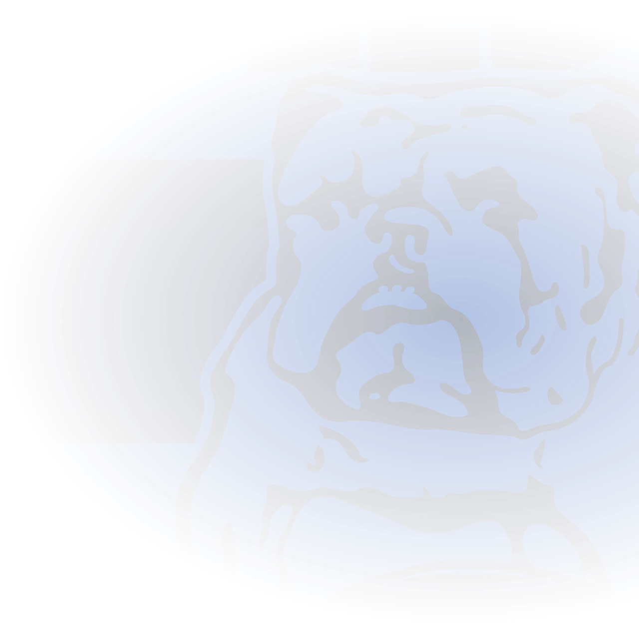 Official AFL Website of the Adelaide Crows Football Club