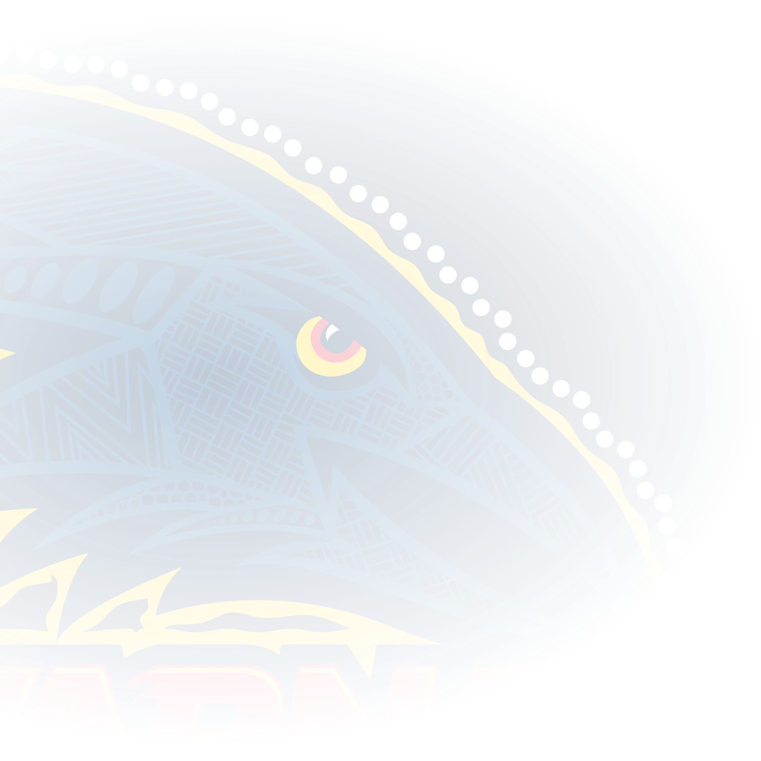 Official AFL Website of the Adelaide Crows Football Club